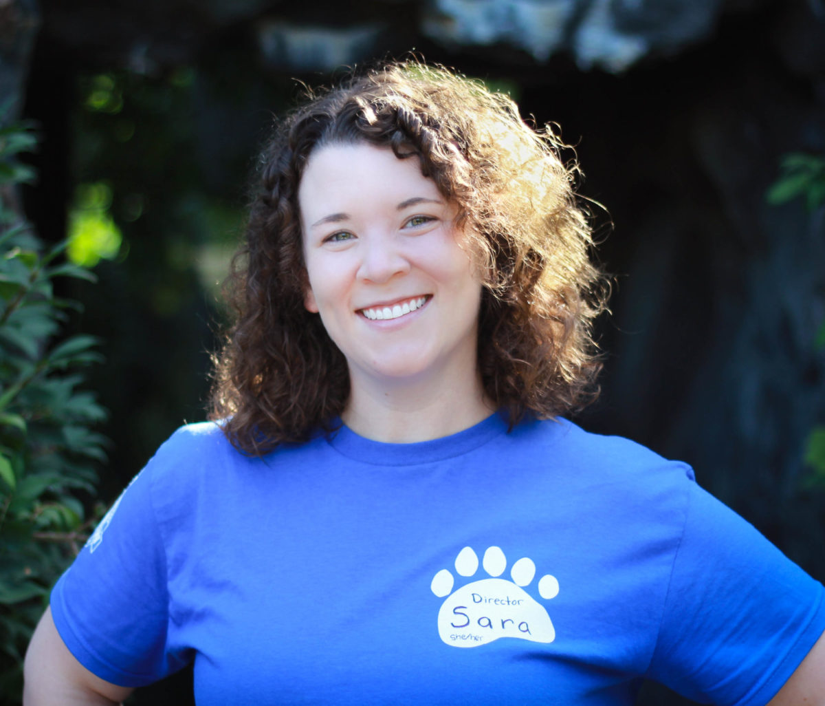 Sara Van Wormer Engages Students in Science and Engineering During the ...