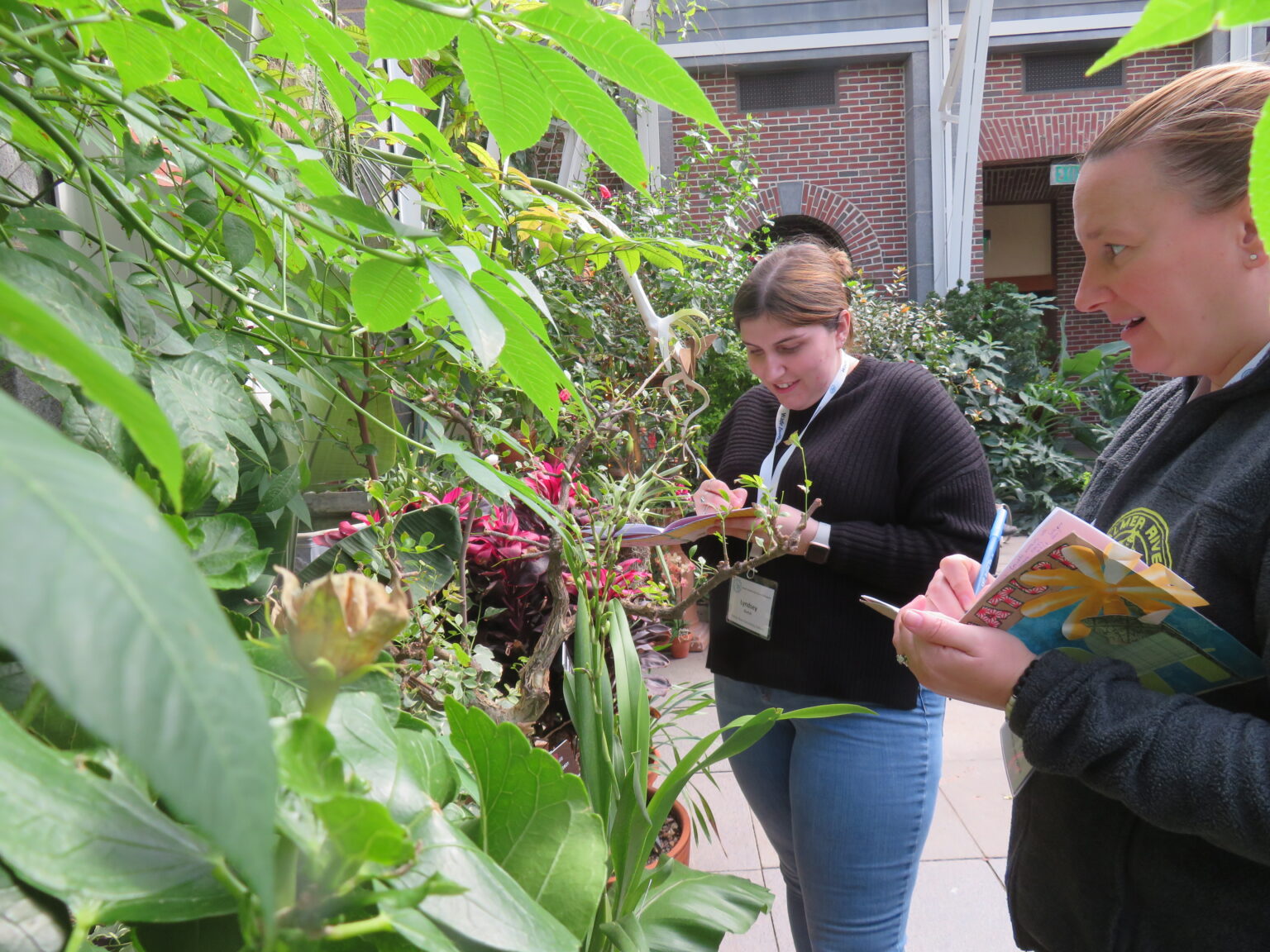 2025 Summer Professional Development Institutes: Understanding Earth’s ...